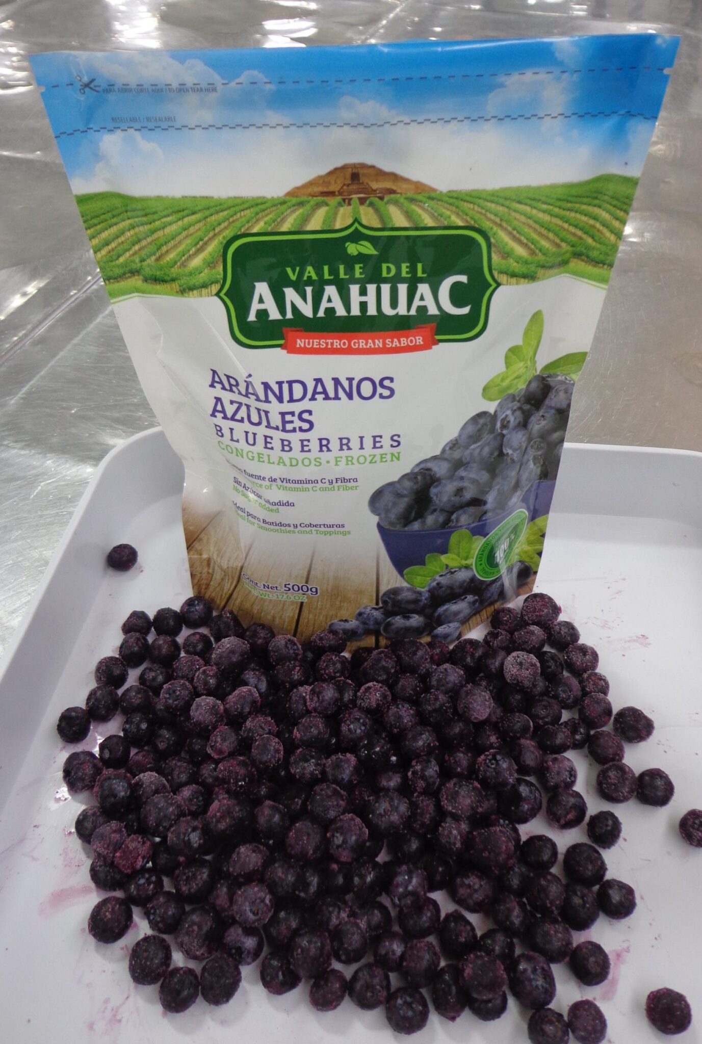BLUEBERRIES – Canahuac